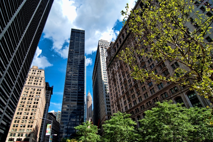 Randy Ford / Star Statements International - Celebrity Statement